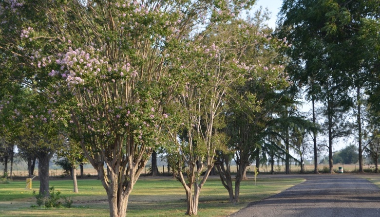 Te invitamos a conocer Ayres de Casares: El nuevo Barrio privado de ...